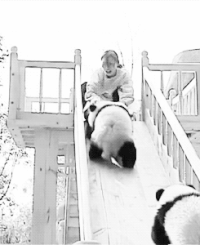 Midget GIFs - Get the best gif on GIFER