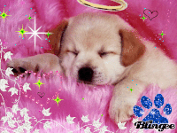 Blingee GIFs - Get the best gif on GIFER