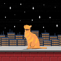 Rooftop GIFs - Get the best gif on GIFER