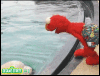 Elmo GIFs - Get the best gif on GIFER