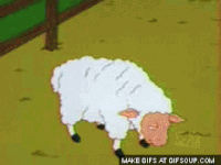 Lamb GIFs - Get the best gif on GIFER