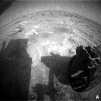 Curiosity GIFs - Get the best gif on GIFER