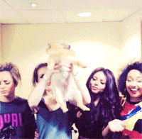 Lms GIFs - Get the best gif on GIFER