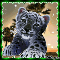 Blingee GIFs - Get the best gif on GIFER