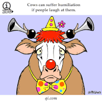 Fun fact GIFs - Get the best gif on GIFER