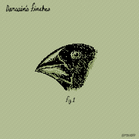 Darwin GIFs - Get the best gif on GIFER