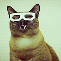 Adapter гифки, анимированные GIF изображения adapter - скачать гиф ...