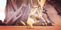 Dodo GIFs - Get the best gif on GIFER