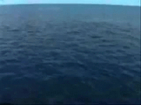 Submarine GIFs - Get the best gif on GIFER