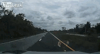Windshield GIFs - Get the best gif on GIFER