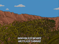 Brambles GIFs - Get the best gif on GIFER