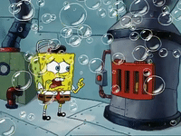 Chum GIFs - Get the best gif on GIFER