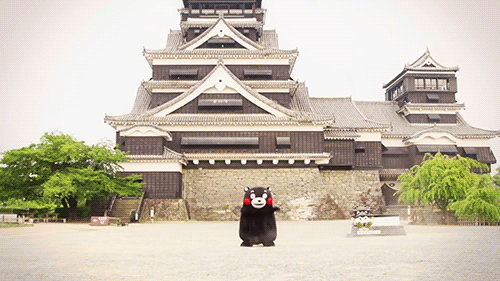 Kumamon GIFs - Get the best gif on GIFER