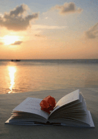 Open book GIFs - Get the best gif on GIFER