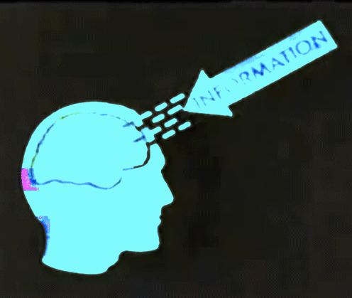Informations GIFs - Get the best gif on GIFER