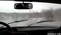Windshield GIFs - Get the best gif on GIFER