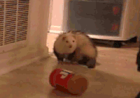 Dramatic GIFs - Get the best gif on GIFER