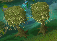 Botanica GIFs - Get the best gif on GIFER
