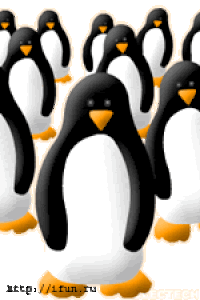 Penguins GIFs - Get the best gif on GIFER