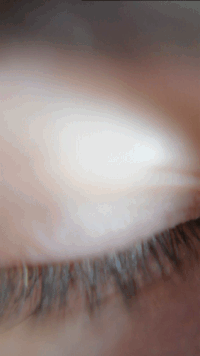 Pupil GIFs - Get the best gif on GIFER