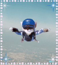 Skydiving GIFs - Get the best gif on GIFER
