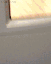 Tuba GIFs - Get the best gif on GIFER