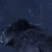 Role GIFs - Get the best gif on GIFER