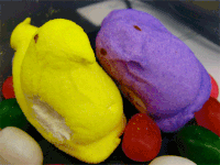 Peeps GIFs - Get the best gif on GIFER