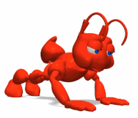 Ant GIFs - Get the best gif on GIFER