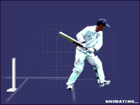 Cricket GIFs - Get the best gif on GIFER