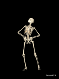 Bones GIFs - Get the best gif on GIFER