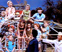 Clambake GIFs - Get the best gif on GIFER