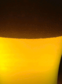 Beer bubbles GIFs - Get the best gif on GIFER