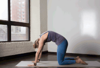 Yoga GIFs - Get the best gif on GIFER