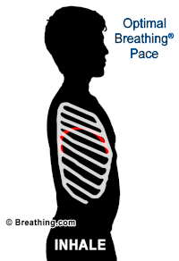 Respiracion GIFs - Get the best gif on GIFER