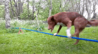 Tightrope GIFs - Get the best gif on GIFER