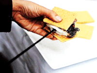 Goldfish crackers GIFs - Get the best gif on GIFER