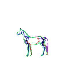 Pferd GIFs - Get the best gif on GIFER