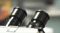 Microscope GIFs - Get the best gif on GIFER