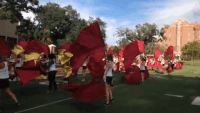 Nol GIFs - Get the best gif on GIFER