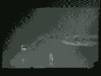 Nin GIFs - Get the best gif on GIFER