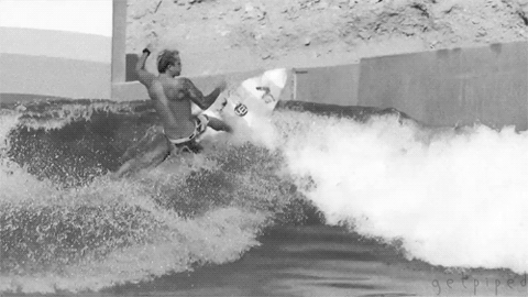 Chipper GIFs - Get the best gif on GIFER