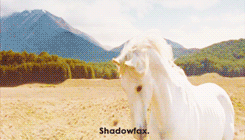 Shadowfax GIFs - Get the best gif on GIFER