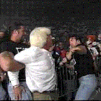 Nwo GIFs - Get the best gif on GIFER