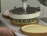 Начинка GIFs - Get the best gif on GIFER