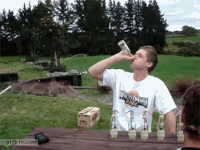Drinkers GIFs - Get the best gif on GIFER