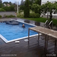 Swimming pool GIFs - Get the best gif on GIFER