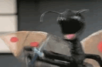 Quasimoto GIFs - Get the best gif on GIFER