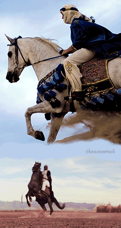 Arabian GIFs - Get the best gif on GIFER