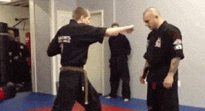 Fightingit GIFs - Get the best gif on GIFER